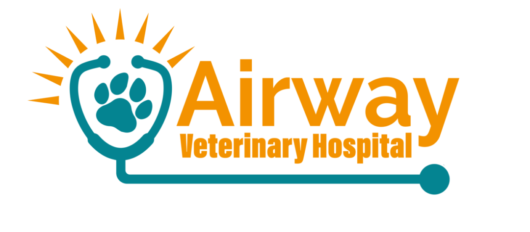 Meet Our Team | Airway Veterinary Hospital